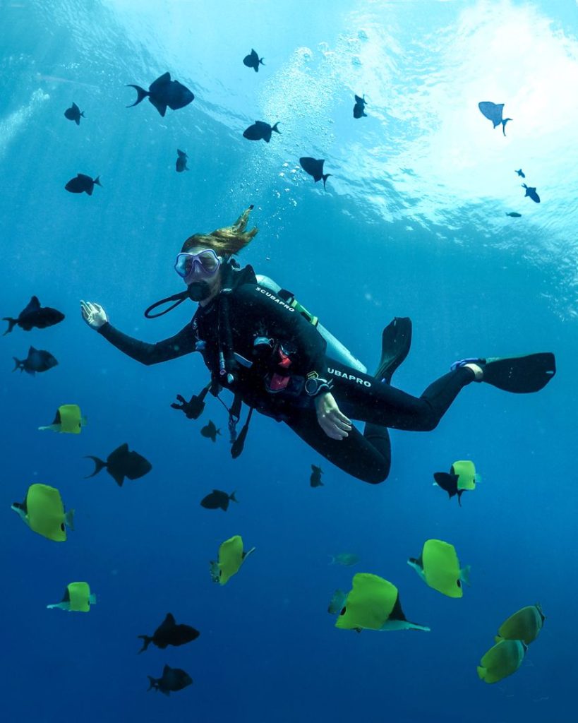 Diver – EWSETA Career Guidance Portal